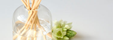 Crushed Mint Reed Diffuser Kit – LINNEA