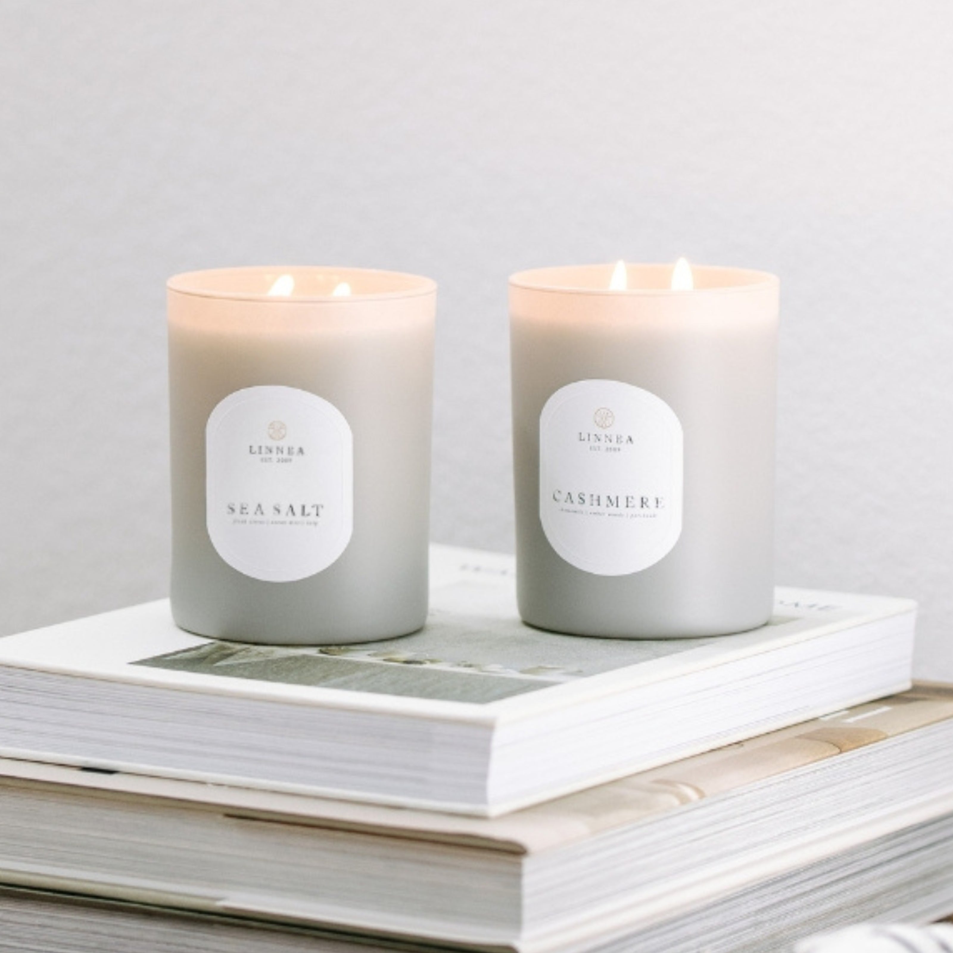 Heirloom Tomato 2-wick Candle - Handcrafted, Small Batch – LINNEA